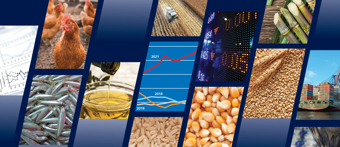 Thinking About Importing Food to Indonesia? Here’s What You Should Know ...